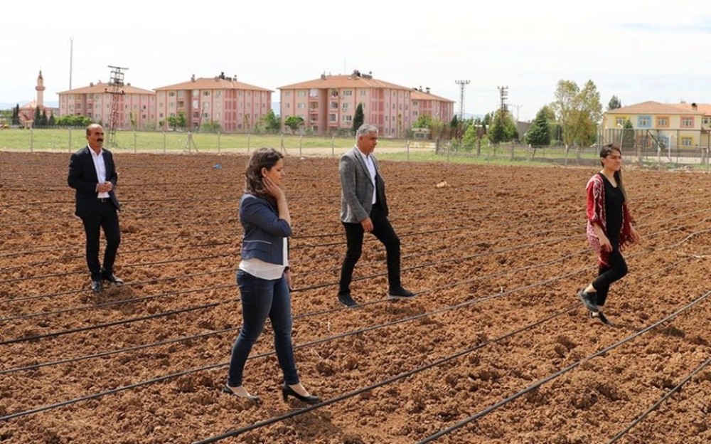 Silopi’de fide ekimi başladı - Şırnak Haberleri