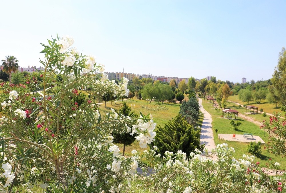 Toroslar’ın parkları kır çiçekleriyle renklendi - Mersin Haberleri