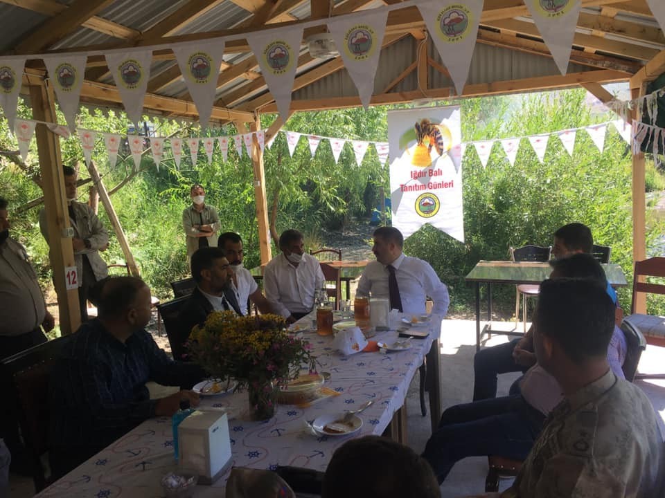 Iğdır’da bal hasadı başladı. - Iğdır Haberleri