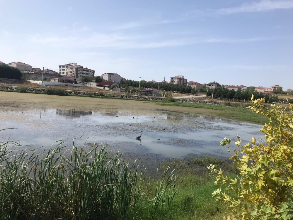 Marmaracık Göleti temizleniyor - Tekirdağ Haberleri