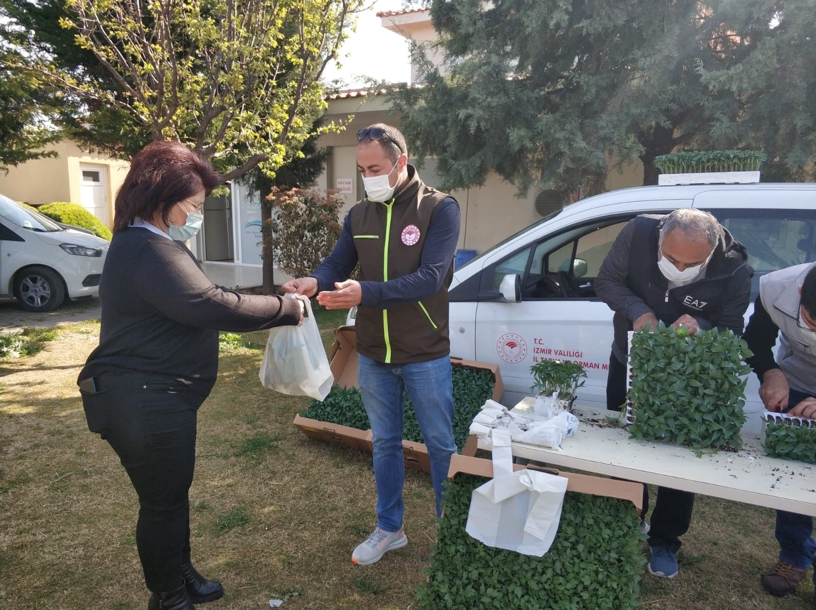 Çeşmeli kadınlara ücretsiz fide - İzmir Haberleri