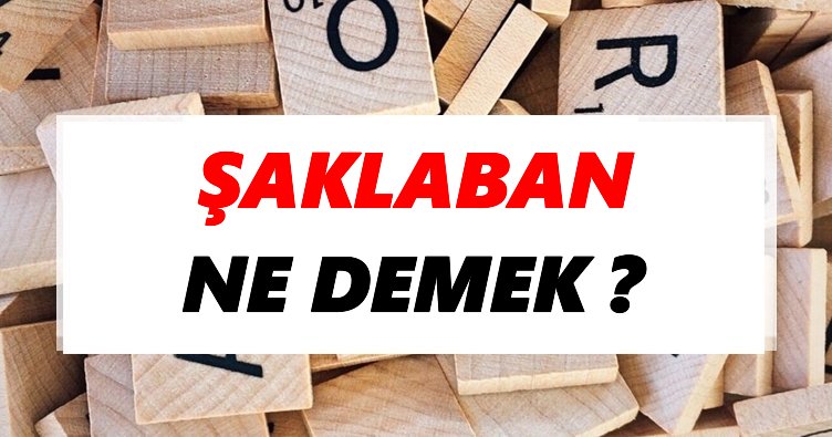 Şaklaban Ne Demek? TDK’ya Göre Şaklaban Sözlük Anlamı Nedir? - Tdk ...